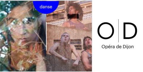 Jungle Book reimagined // spectacle de danse // Opéra de Dijon // en ...